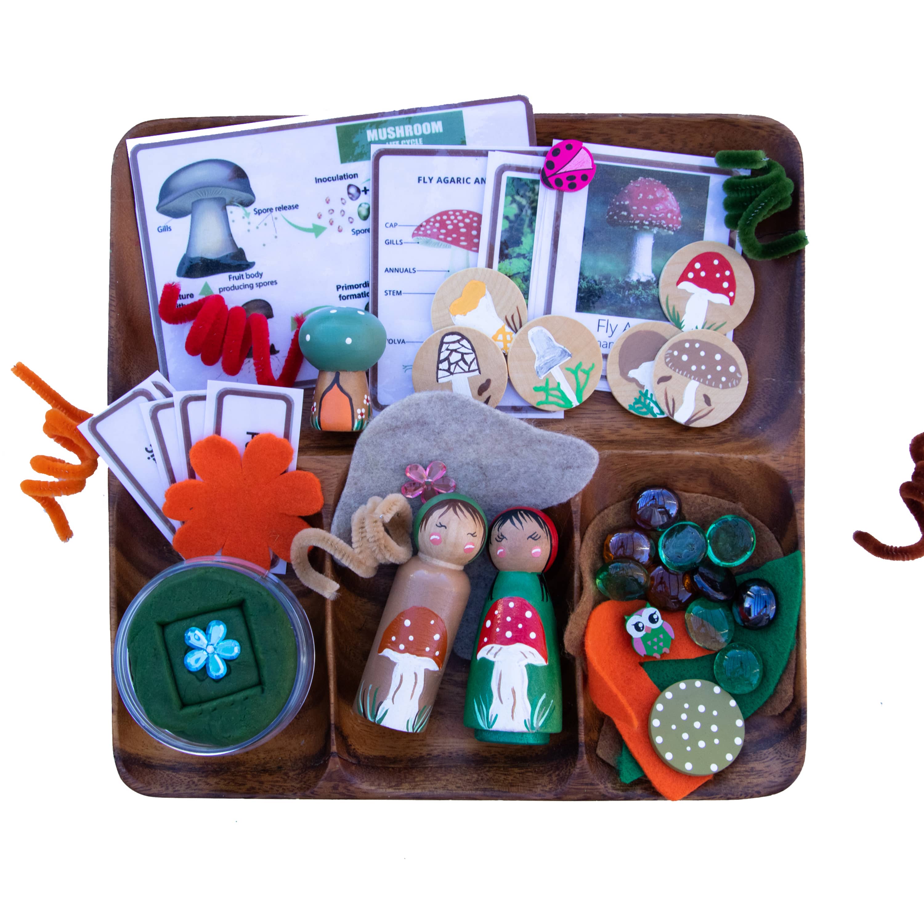 Montessori Toys: Mushroom Life Cycle – Kid To Kid Corner